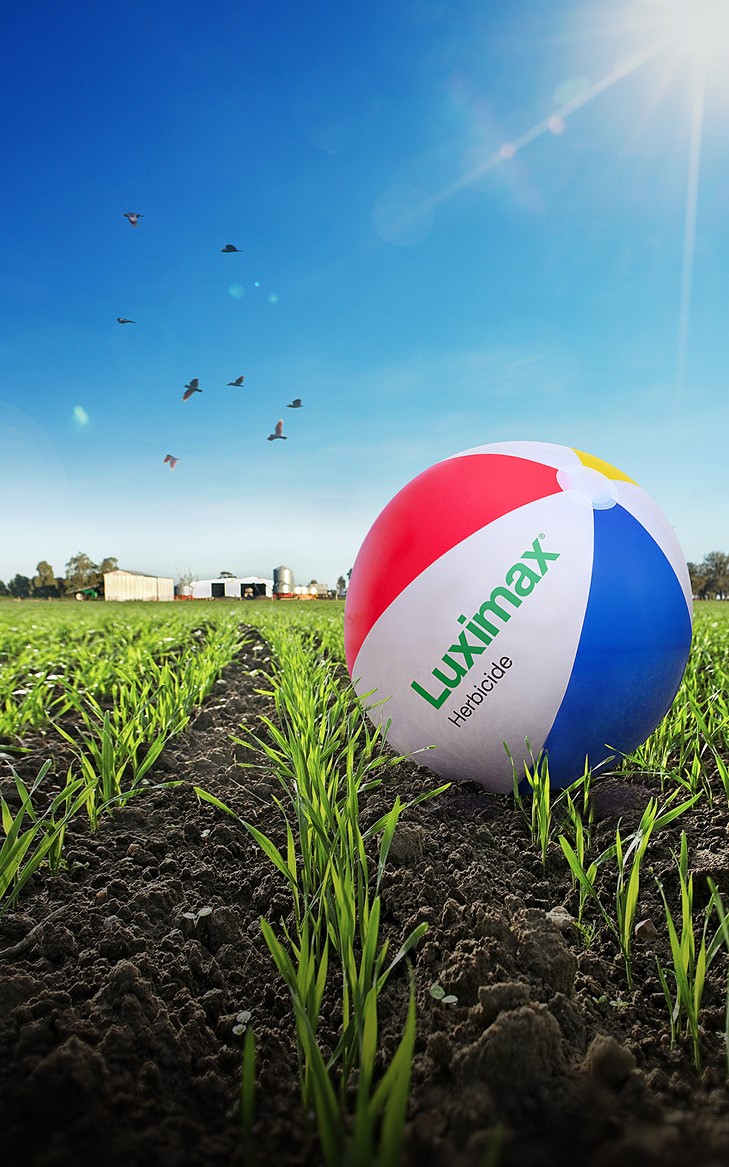 Luximax® | BASF Crop Solutions Australia